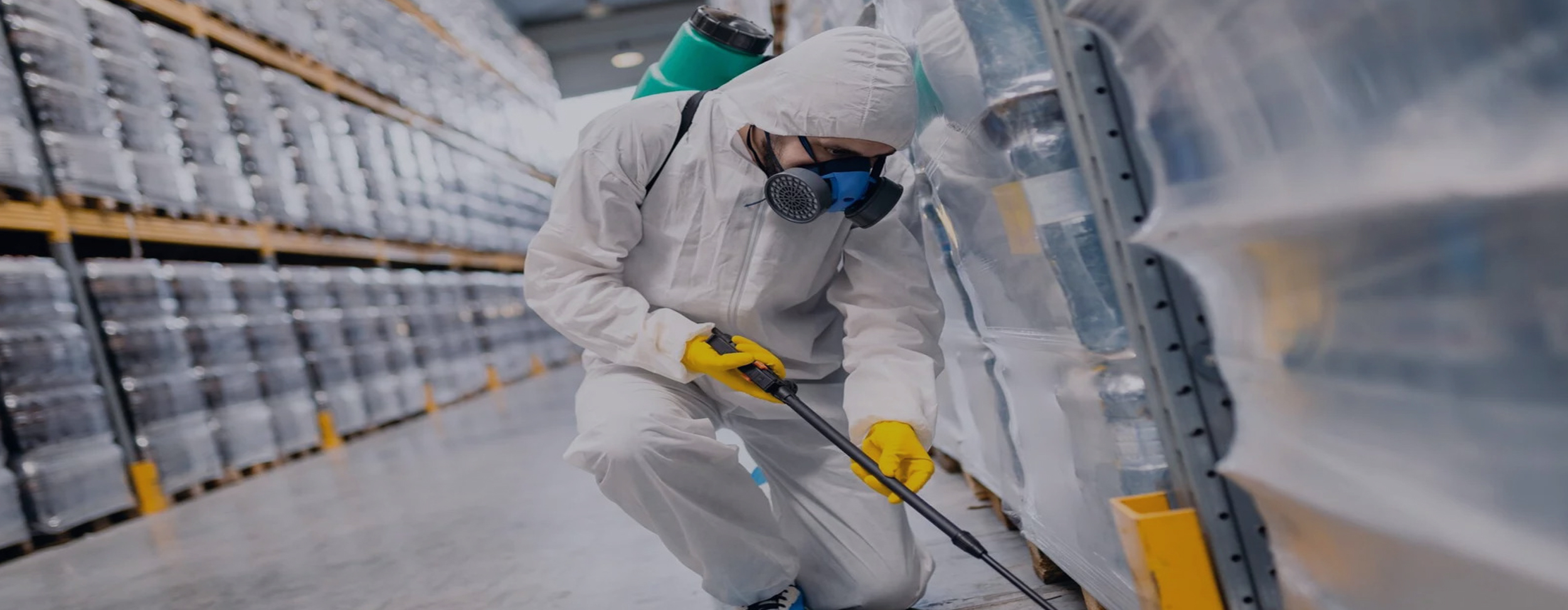 Contact - Pest Control in Kolkata | Affordable Pest Management Services ...