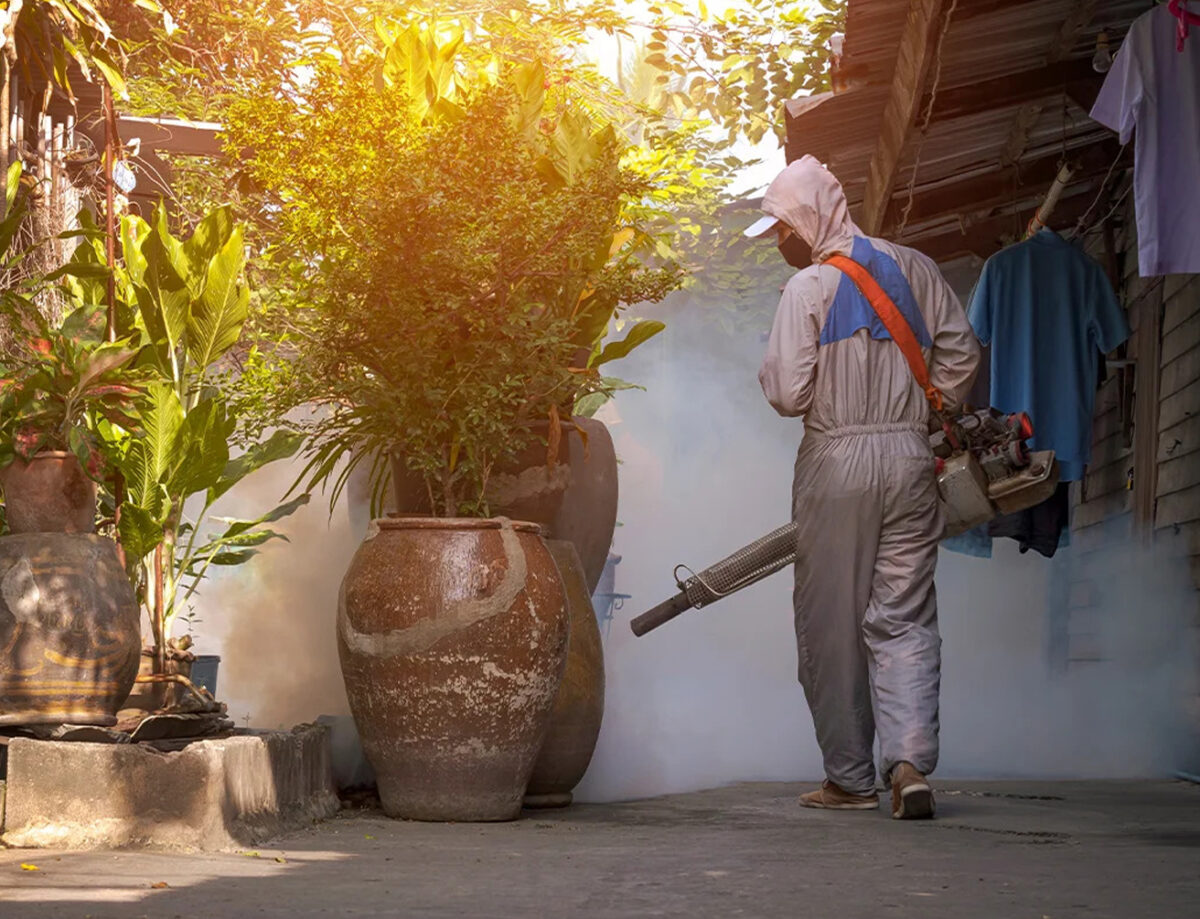 Contact - Pest Control in Kolkata | Affordable Pest Management Services ...